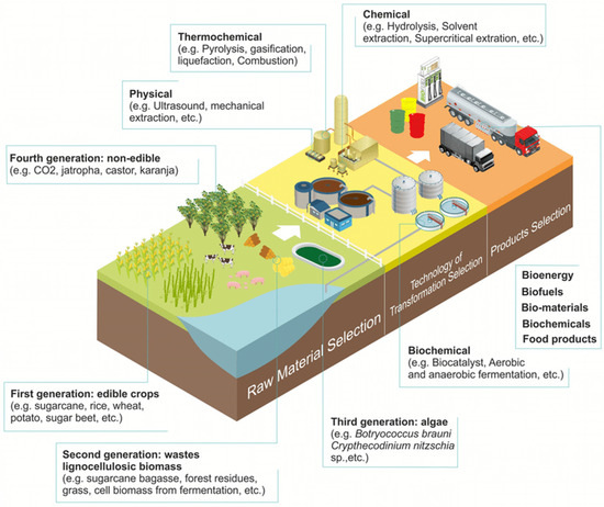 The Biorefinery Paradigm: Technologies, Feedstocks, and Retrofitting ...