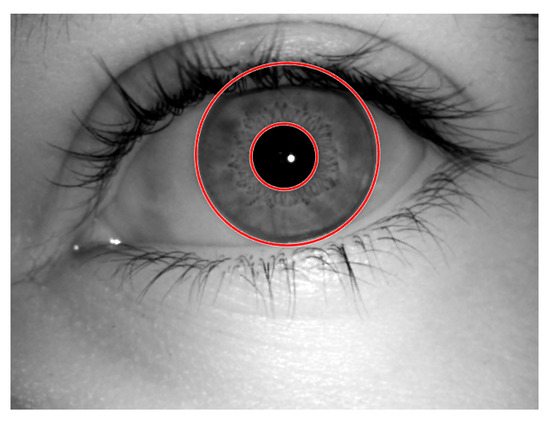 Real-Time Human Authentication System Based on Iris Recognition