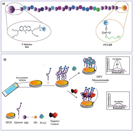 Enhanced Performance Electrochemical Biosensor for Detection of ...