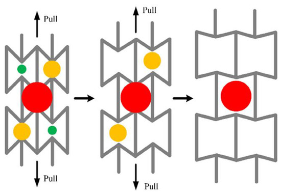 Development and Applications of 3D Printing-Processed Auxetic ...
