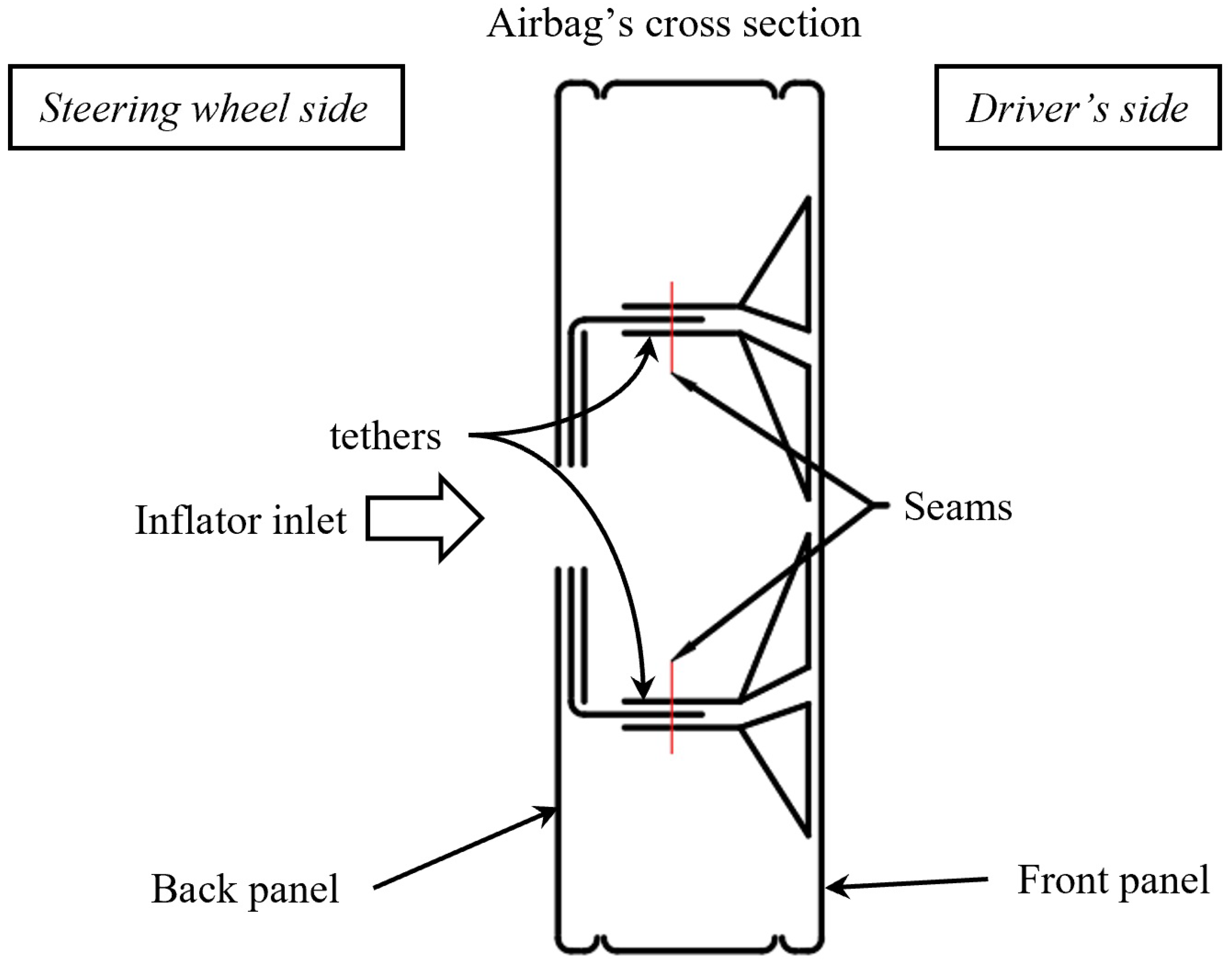 Development of an Airbag Geometry Specific for Autonomous Vehicles