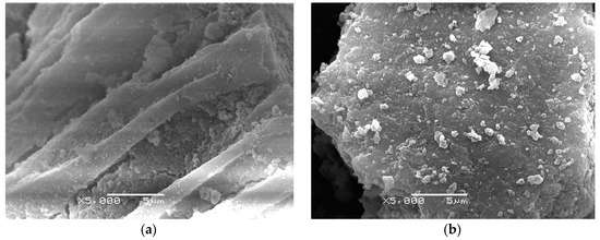 The Effect of High-Energy Ball Milling of Montmorillonite for Adsorptive Removal of Cesium ...