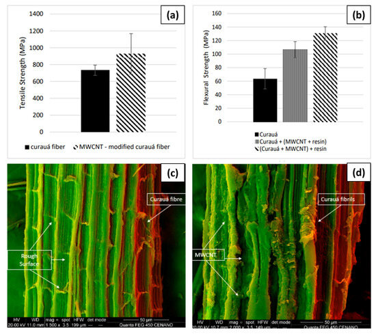 Amazon Natural Fibers for Application in Engineering Composites and ...