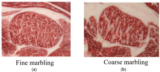 Grading Evaluation of Marbling in Wagyu Beef Using Fractal Analysis