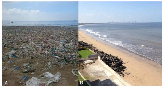 The Journey of Plastics: Historical Development, Environmental ...