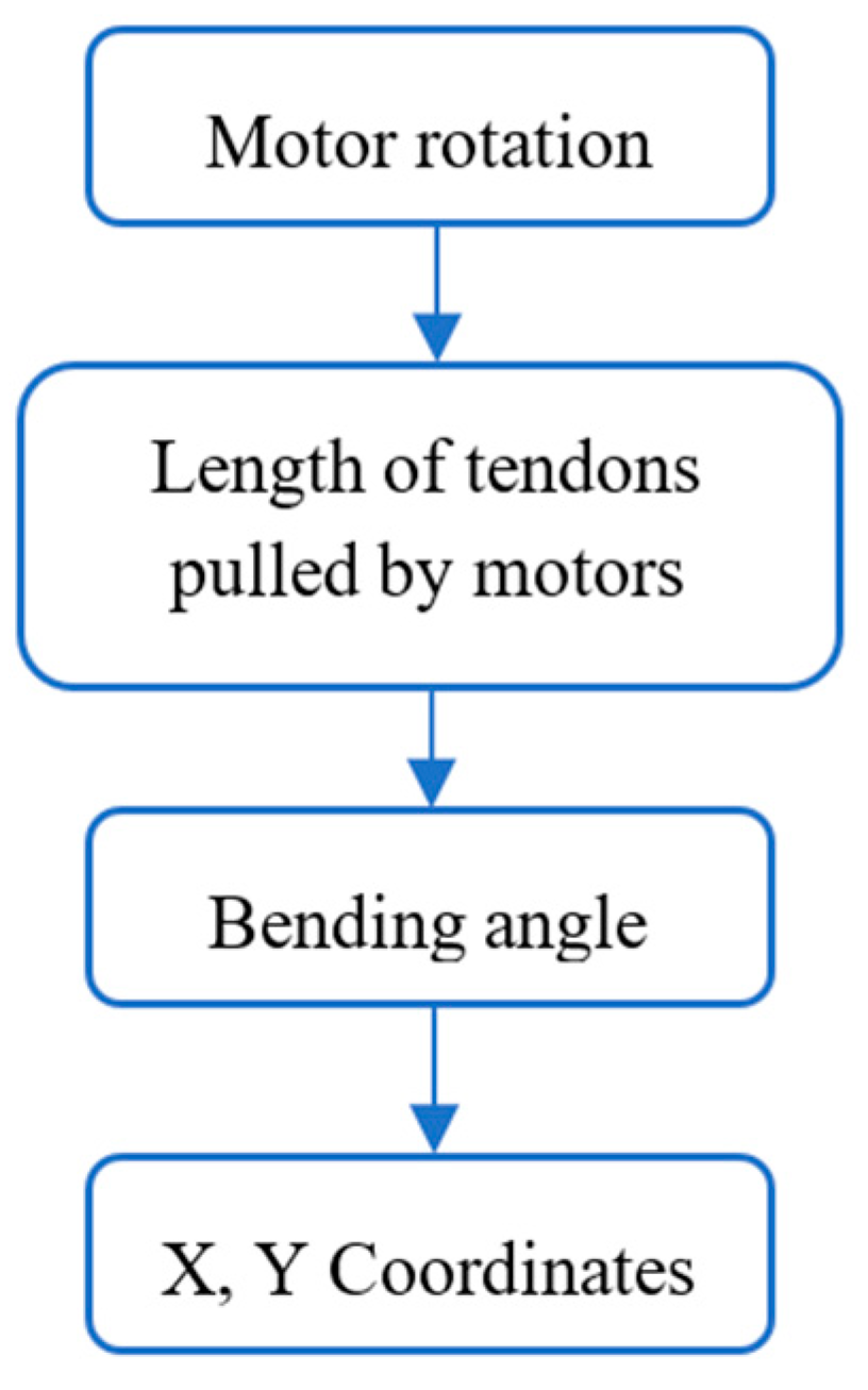 Development of a Tendon-Driven Continuum Robot for Medical Applications