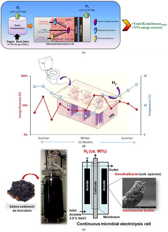 Water Electrolysis Technologies and Their Modeling Approaches: A ...
