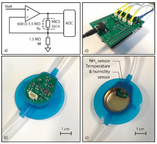 A New Approach for Monitoring Sweat Ammonia Levels Using a Ventilated ...