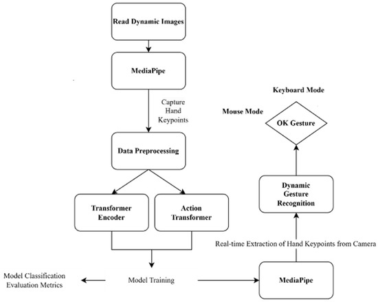 Dynamic Hand Gesture Recognition Using MediaPipe and Transformer
