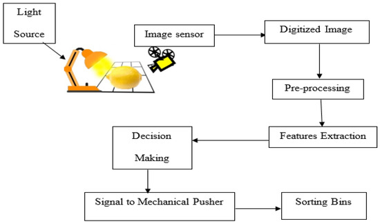 Lemon Grading and Sorting Using Computer Vision