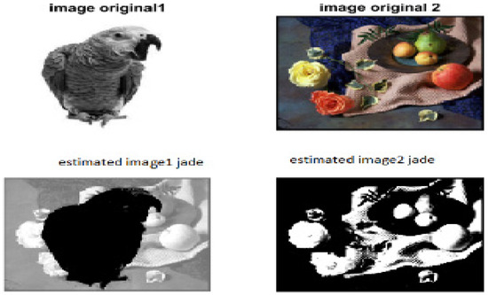 Engineering Proceedings | Free Full-Text | Blind Image Separation Using ...