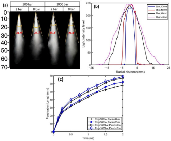 Engineering Proceedings | An Open Access Journal from MDPI
