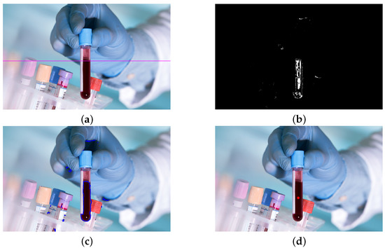 Engineering Proceedings | Free Full-Text | Application of Vision ...