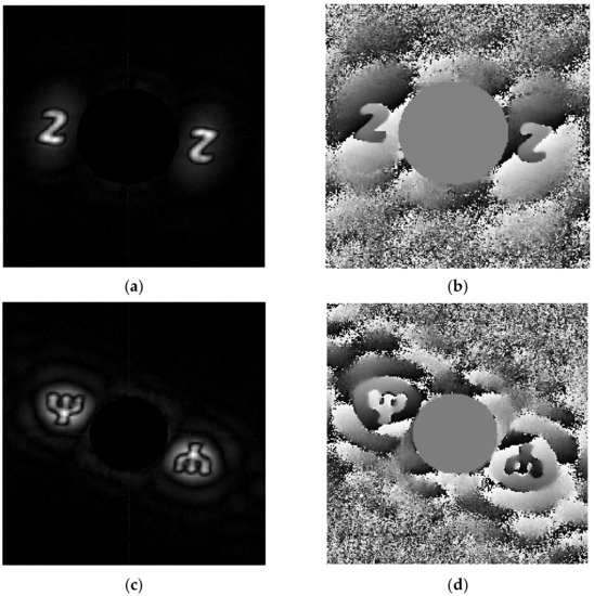 Digital Fourier Transform Holography Using a Beam Displacer