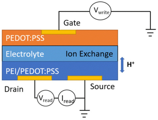 Investigation of Memristor-Based Neural Networks on Pattern Recognition