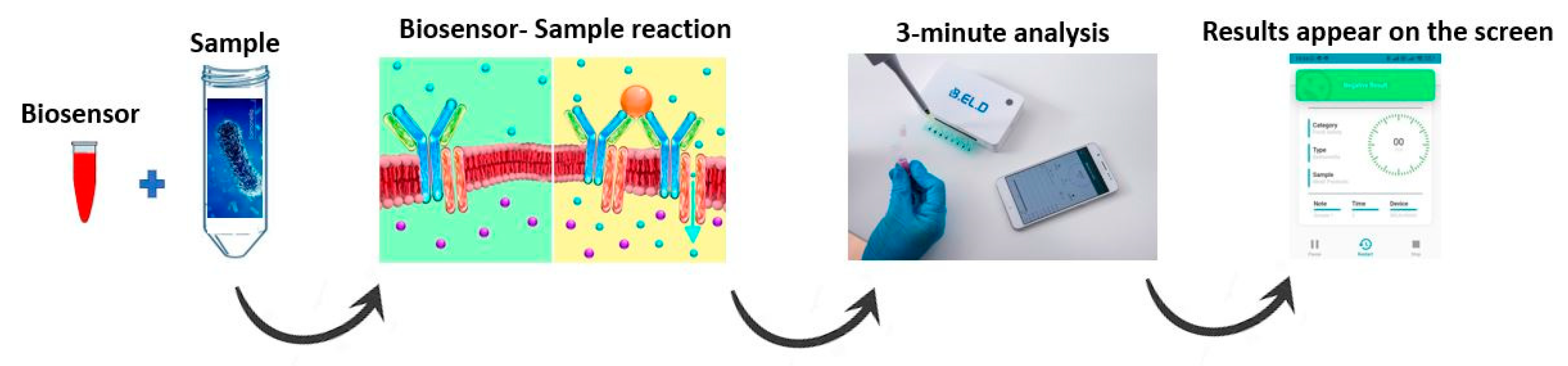 Engineering Proceedings | Free Full-Text | A Cell-Based Bioelectric ...