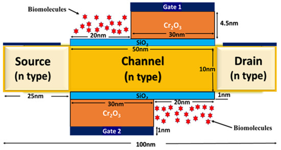A Novel Dielectric Modulated Misaligned Double-Gate Junctionless MOSFET as a Label-Free Biosensor