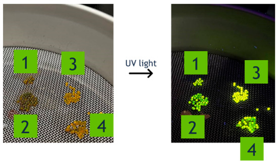 Fluorescent Tracers for Drill Cuttings Labelling: Compatibility with ...