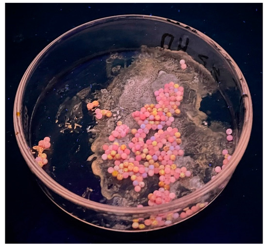 Fluorescent Tracers for Drill Cuttings Labelling: Compatibility with ...