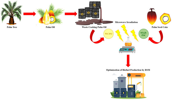 RSM Process Optimization of Biodiesel Production from Waste Cooking Palm Oil in the Presence of ...