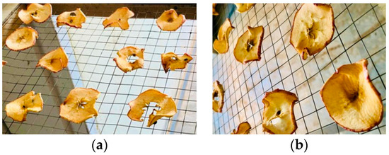 The Design and Development of a Solar Dehydrator for Fruits