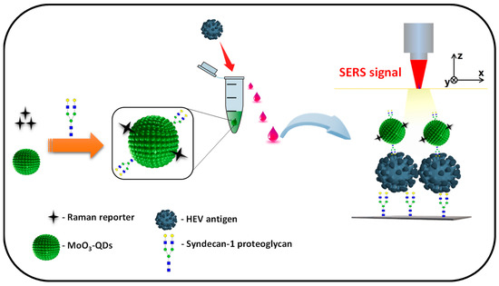 Ultrasensitive Raman Spectroscopy-Based Virus Detection Using Glycan ...