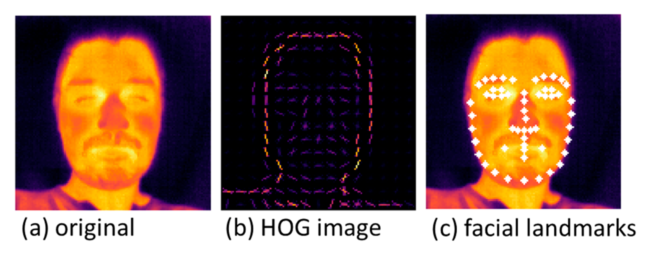 Tracking Long-Term Temperature Anomalies with Person Identification ...
