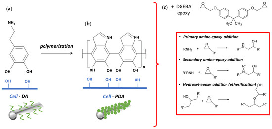 Opportunities for Reversible Bonding at the Cellulose/Matrix Interface ...