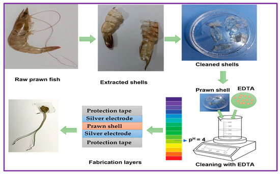 Design and Development of a Fully Sustainable Piezoelectric Energy ...