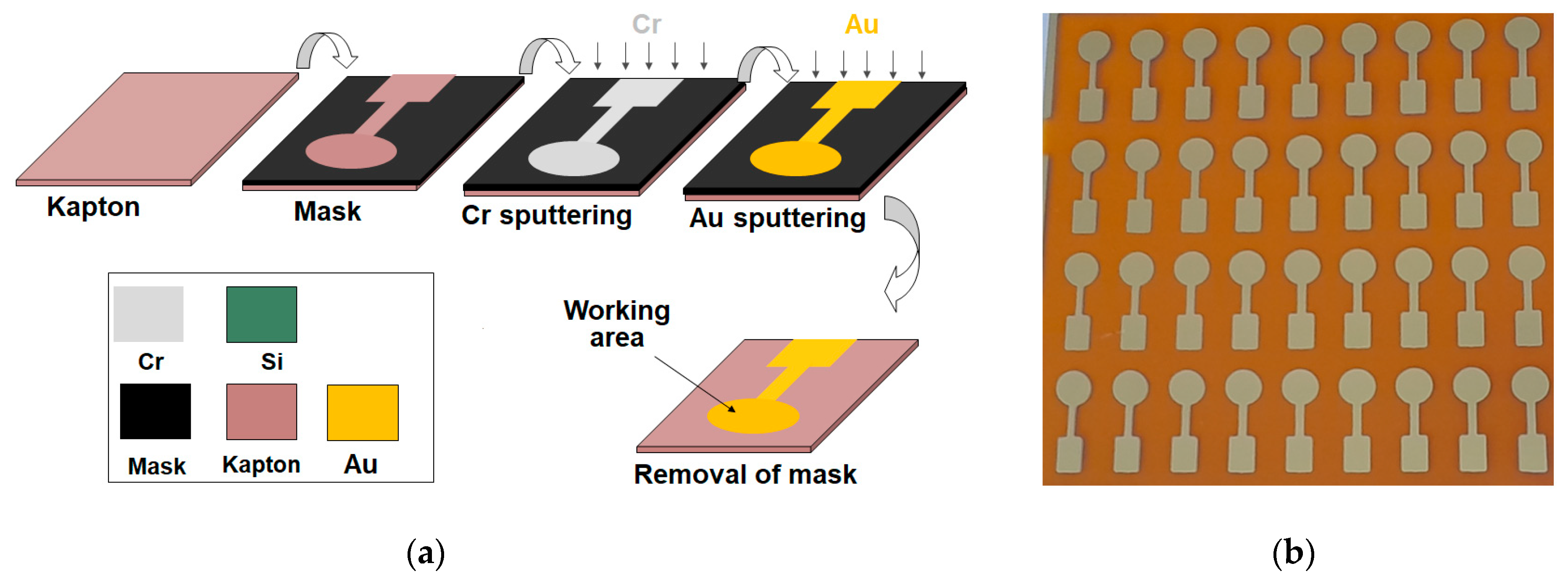 Microfabricated Gold Aptasensors for the Label-Free Electrochemical ...