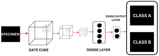 A Comprehensive Review on the Application of 3D Convolutional Neural ...