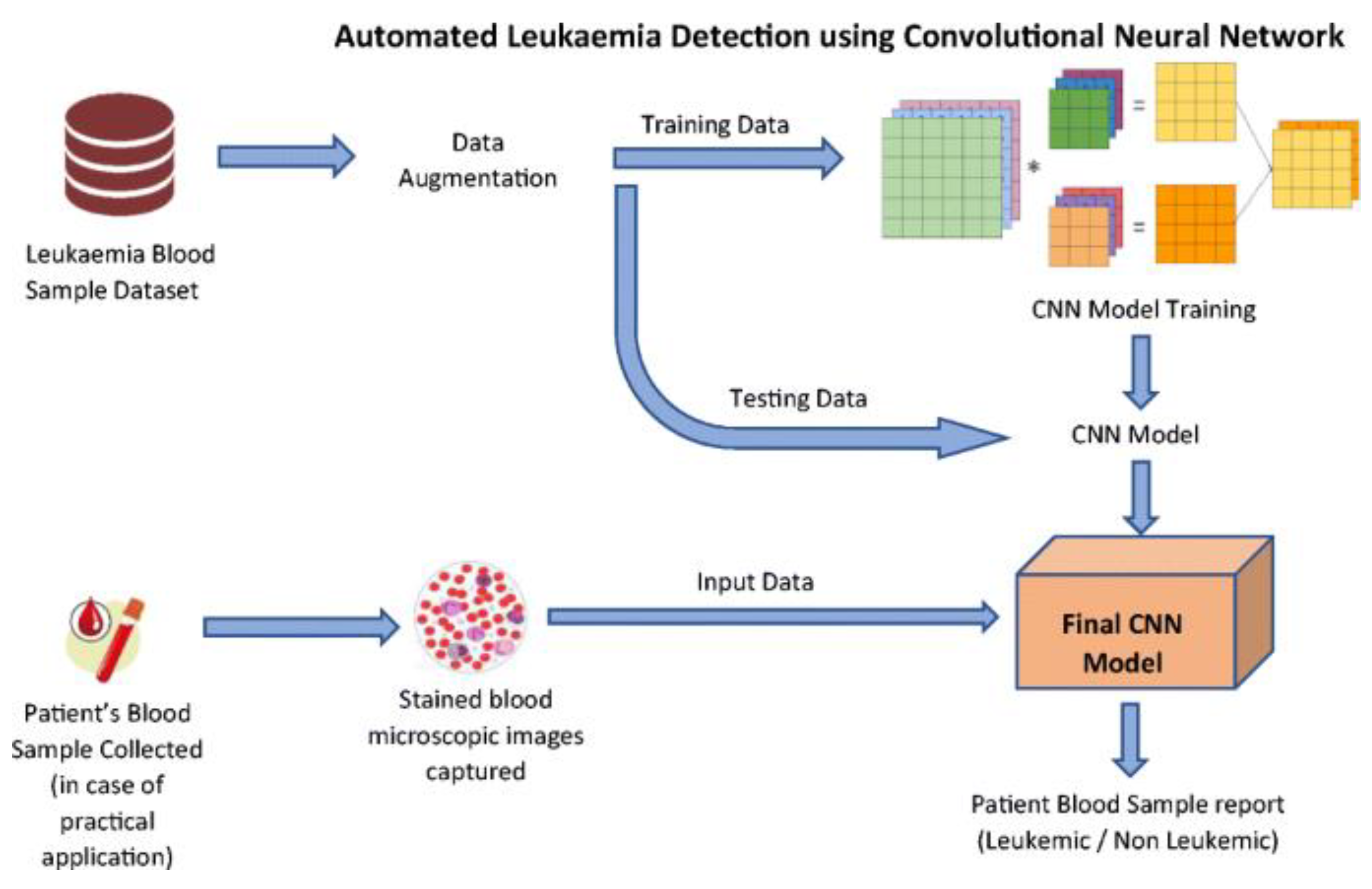 An Enhanced Analysis of Blood Cancer Prediction Using ANN Sensor-Based Model