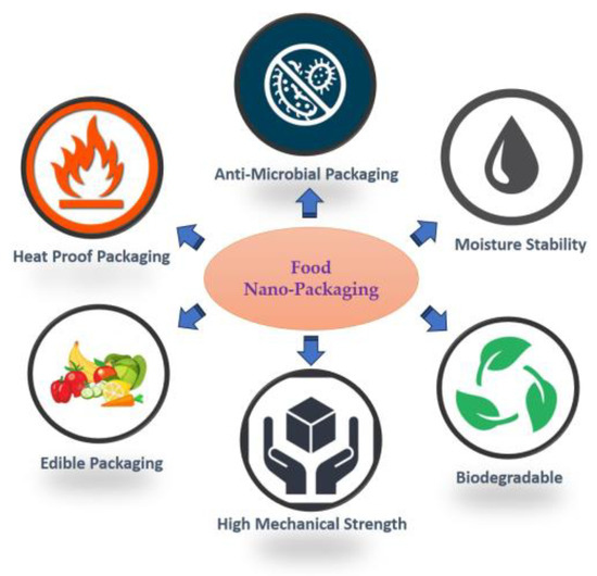 Applications of Nanomaterials on a Food Packaging System—A Review