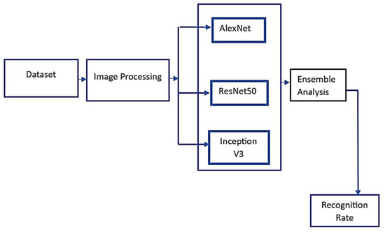 Facial Expression Recognition Using Pre-trained Architectures