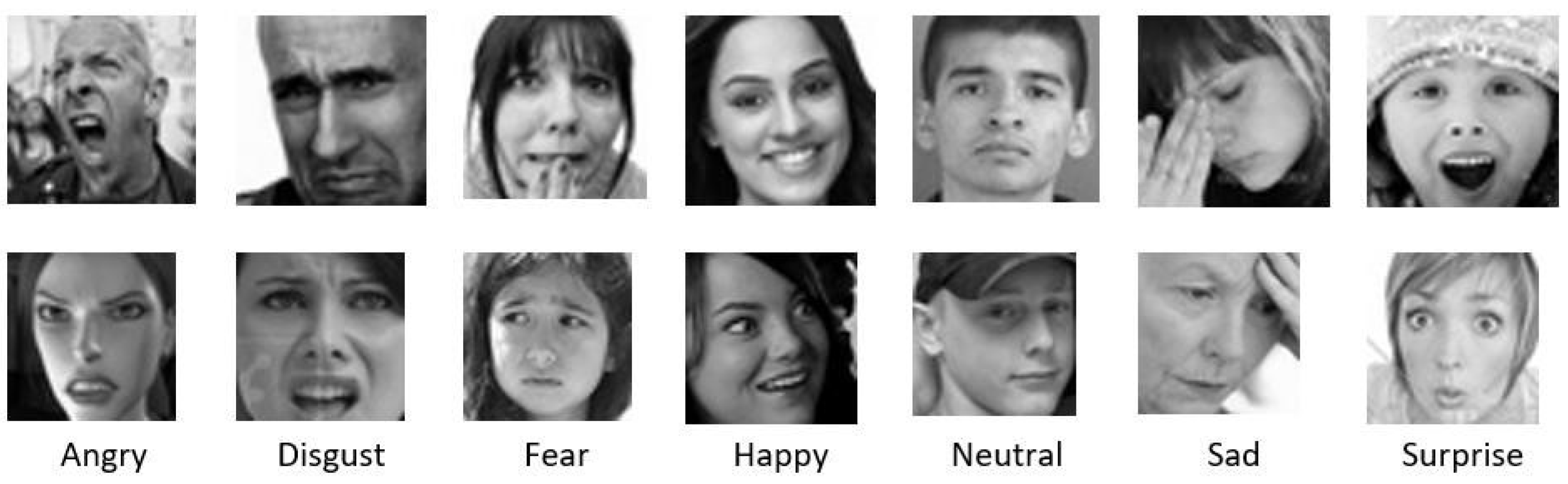 Facial Expression Recognition Using Pre-trained Architectures
