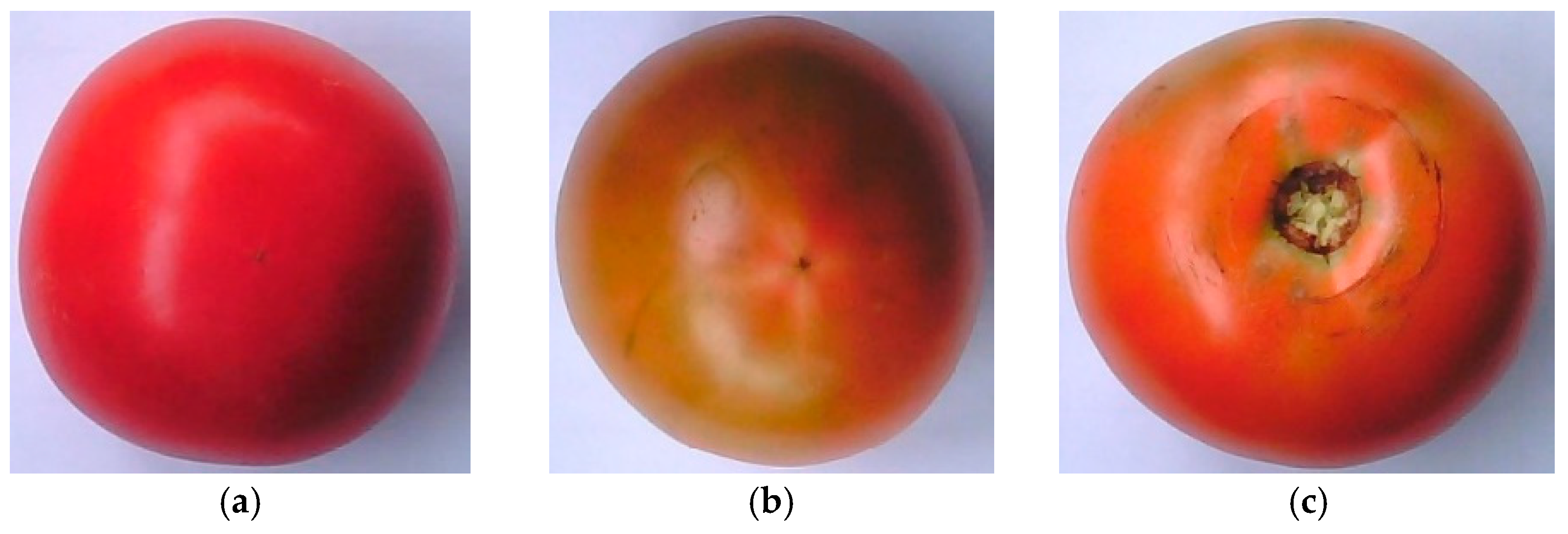 Engineering Proceedings | Free Full-Text | Indirect Determination of ...