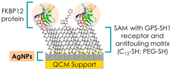 Silver Nanostructures for Determination of FKBP12 Protein