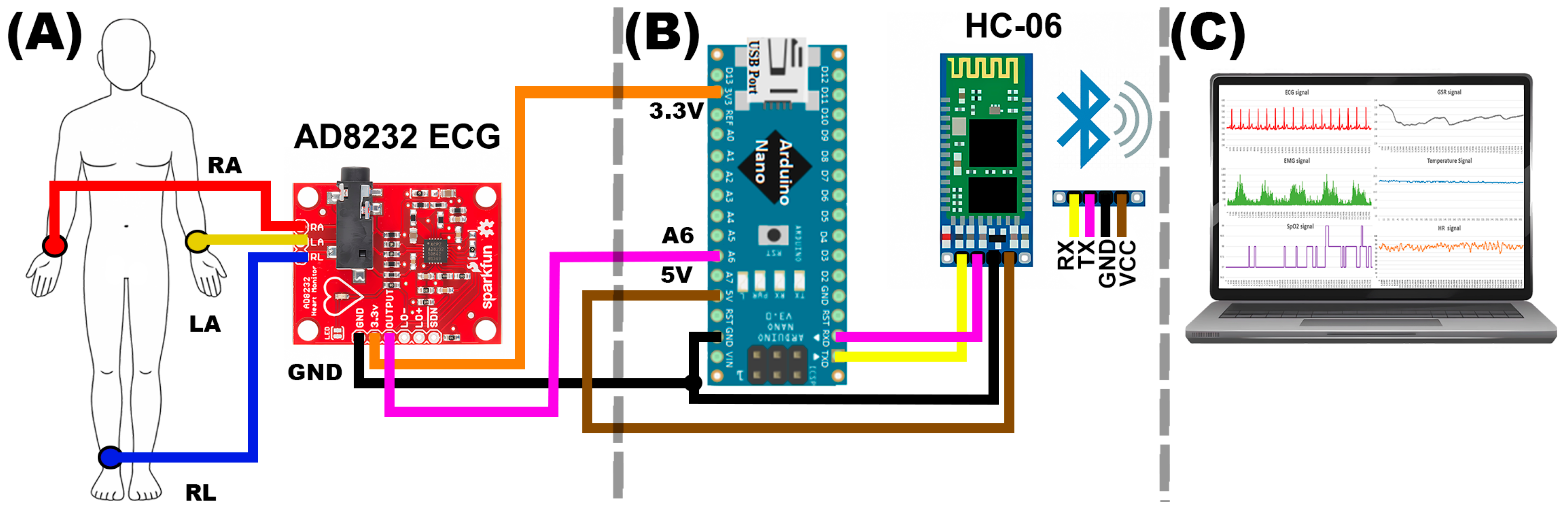Development of a Low-Cost Interactive Prototype for Acquisition and Visualization of Biosignals