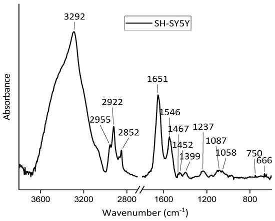 Discrimination of Different Human Cell Lines by Using FT-IR Spectra ...