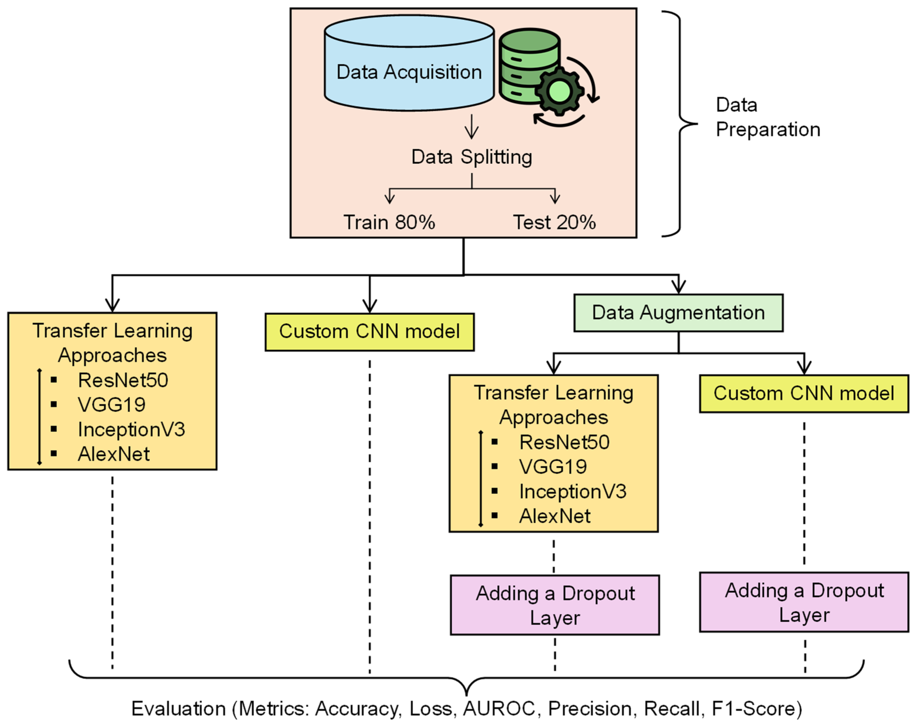 A Custom Convolutional Neural Network Model-Based Bioimaging Technique for Enhanced Accuracy of ...