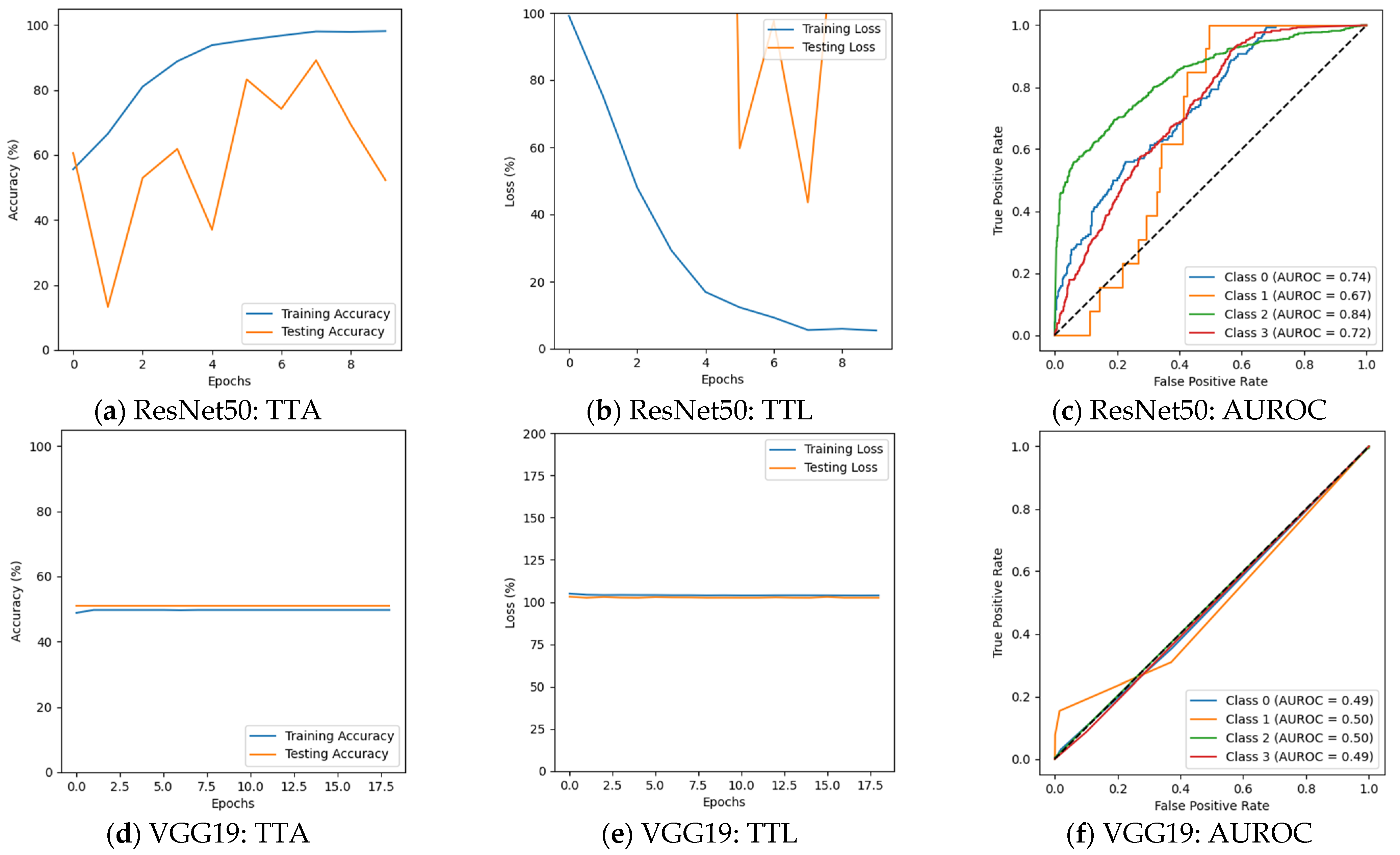 A Custom Convolutional Neural Network Model-Based Bioimaging Technique for Enhanced Accuracy of ...