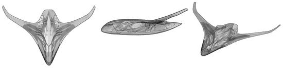 Topology Optimization for Aircraft Applications Using Hybrid and Multi ...