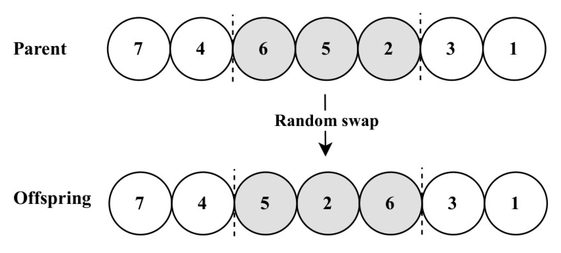 A Hybrid Genetic Algorithm for Multi-Objective Multi-Manned Assembly Line Worker Allocation and ...