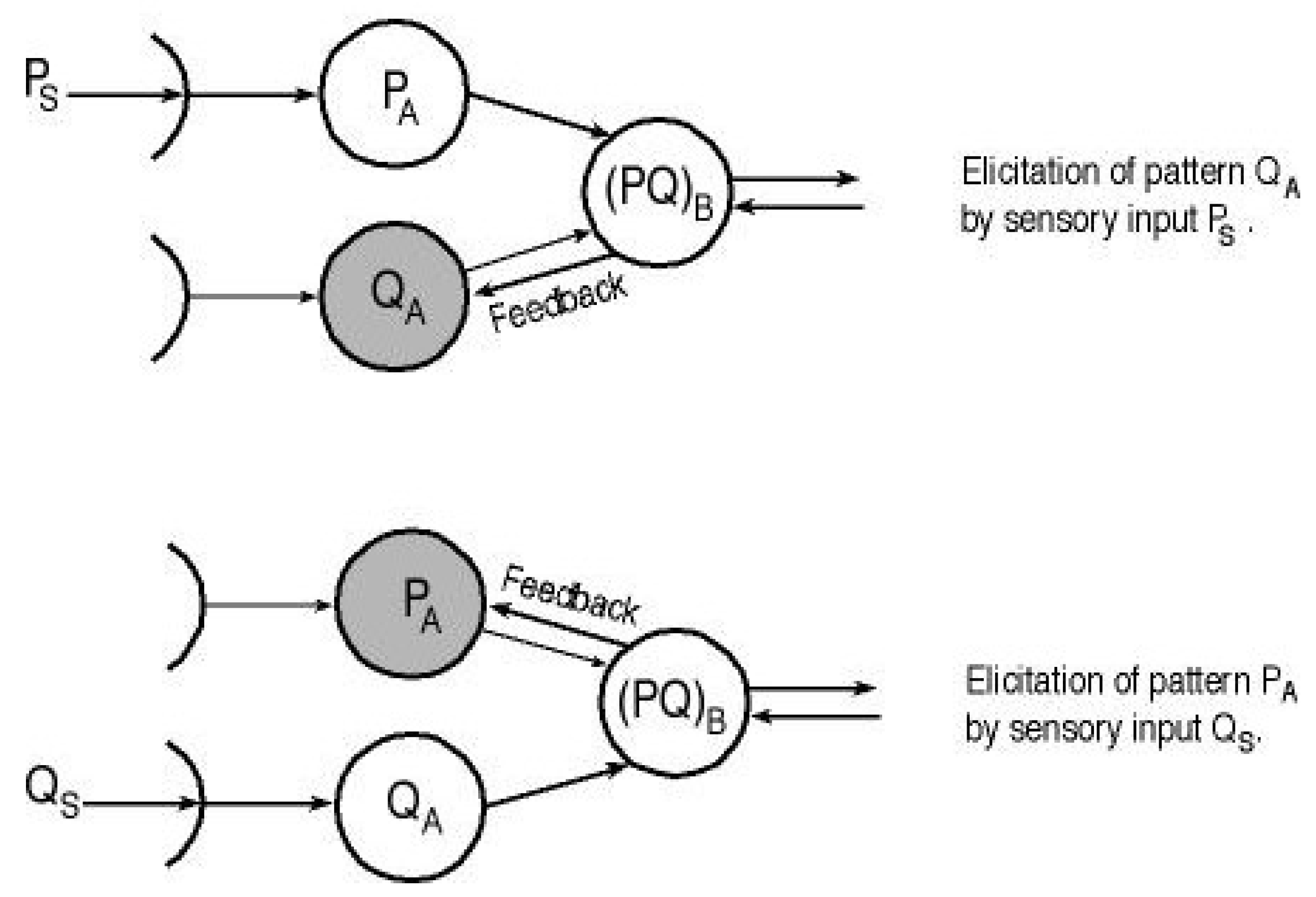 On the Concept of Information and Its Role in Nature