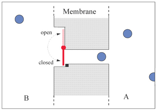 Smoluchowski's Trapdoor