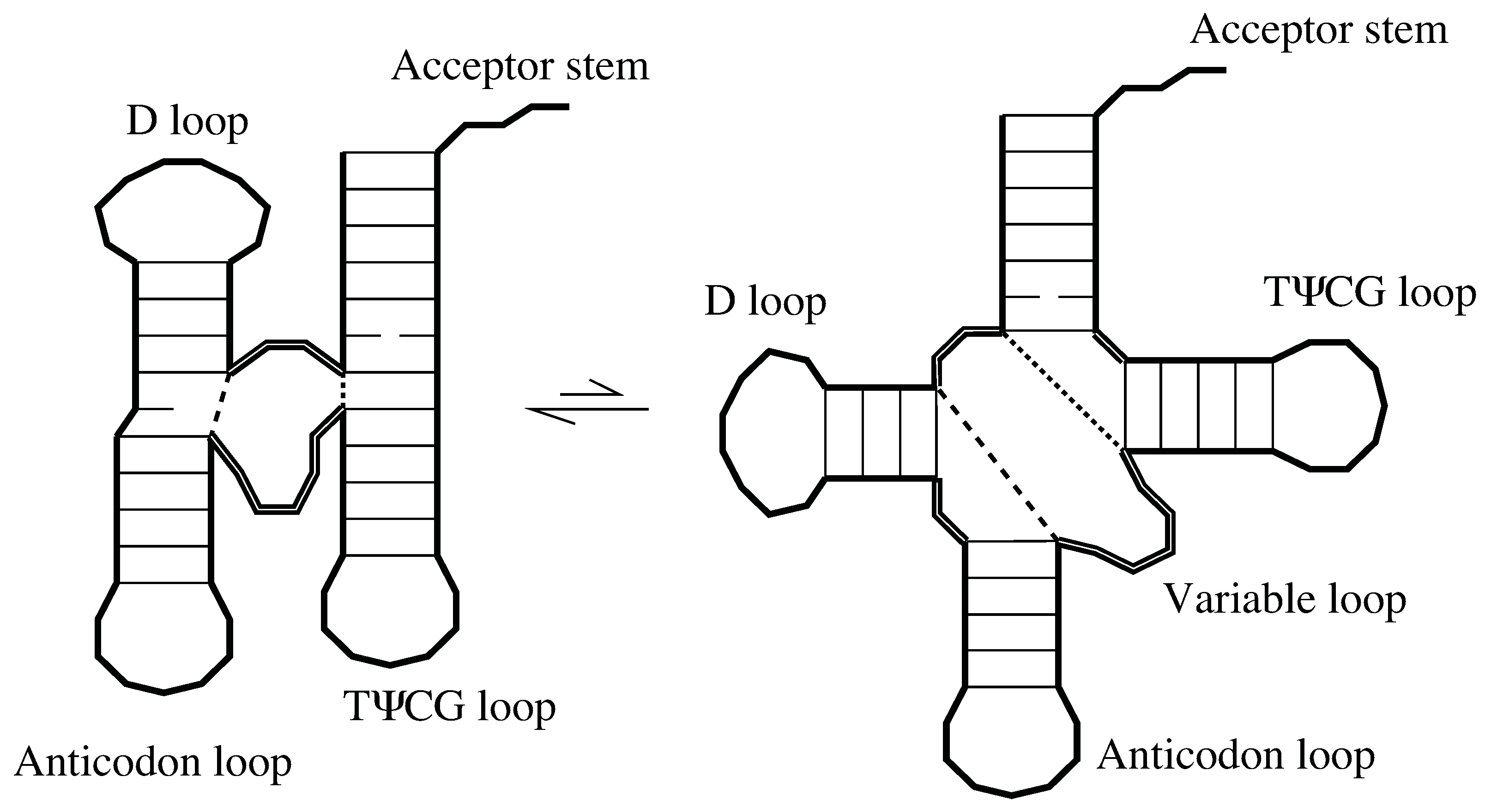 Loop Entropy Assists Tertiary Order: Loopy Stabilization of Stacking Motifs