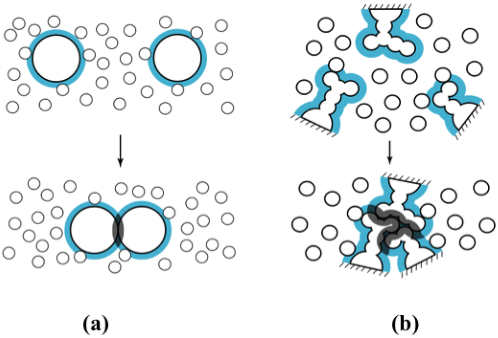 Entropy | Free Full-Text | Application of Hydration Thermodynamics to ...