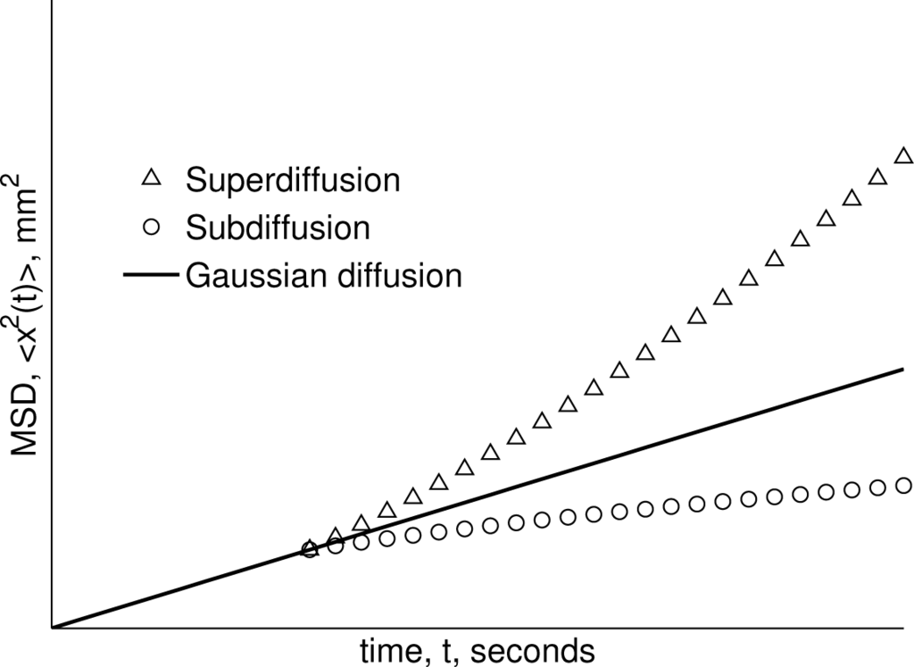 New Insights into the Fractional Order Diffusion Equation Using Entropy ...