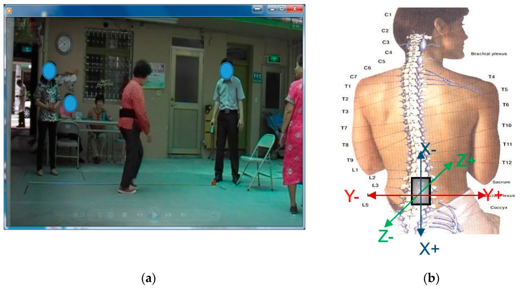 Using Wearable Accelerometers in a Community Service Context to ...