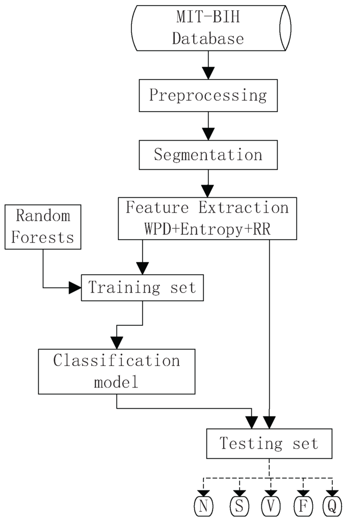 Entropy | Free Full-Text | ECG Classification Using Wavelet Packet Entropy and Random Forests